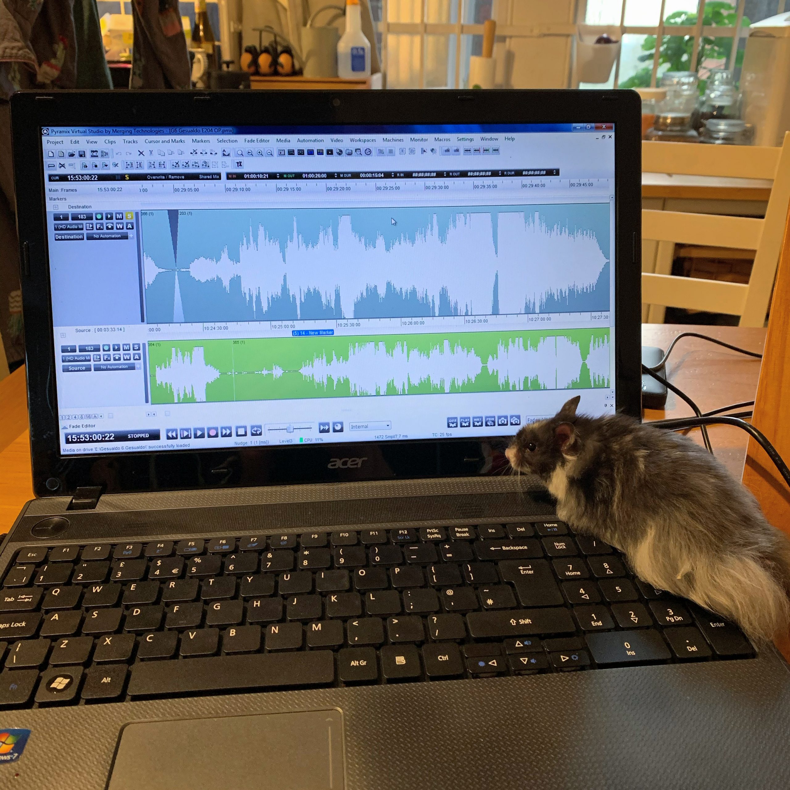 G6 Studio - The Gesualdo Six